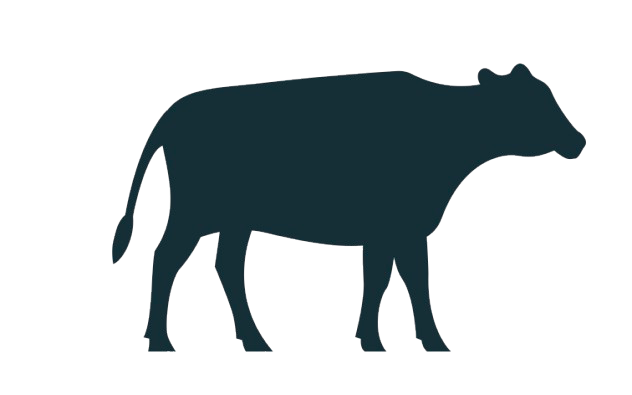 Vaquita - La fuerza de comprar juntos